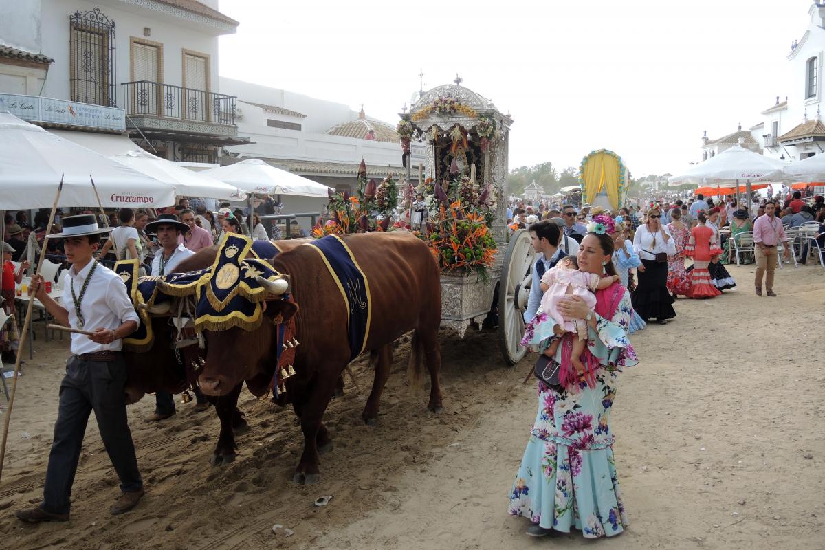 Rapid social change in Spain affects marriage and family life ...