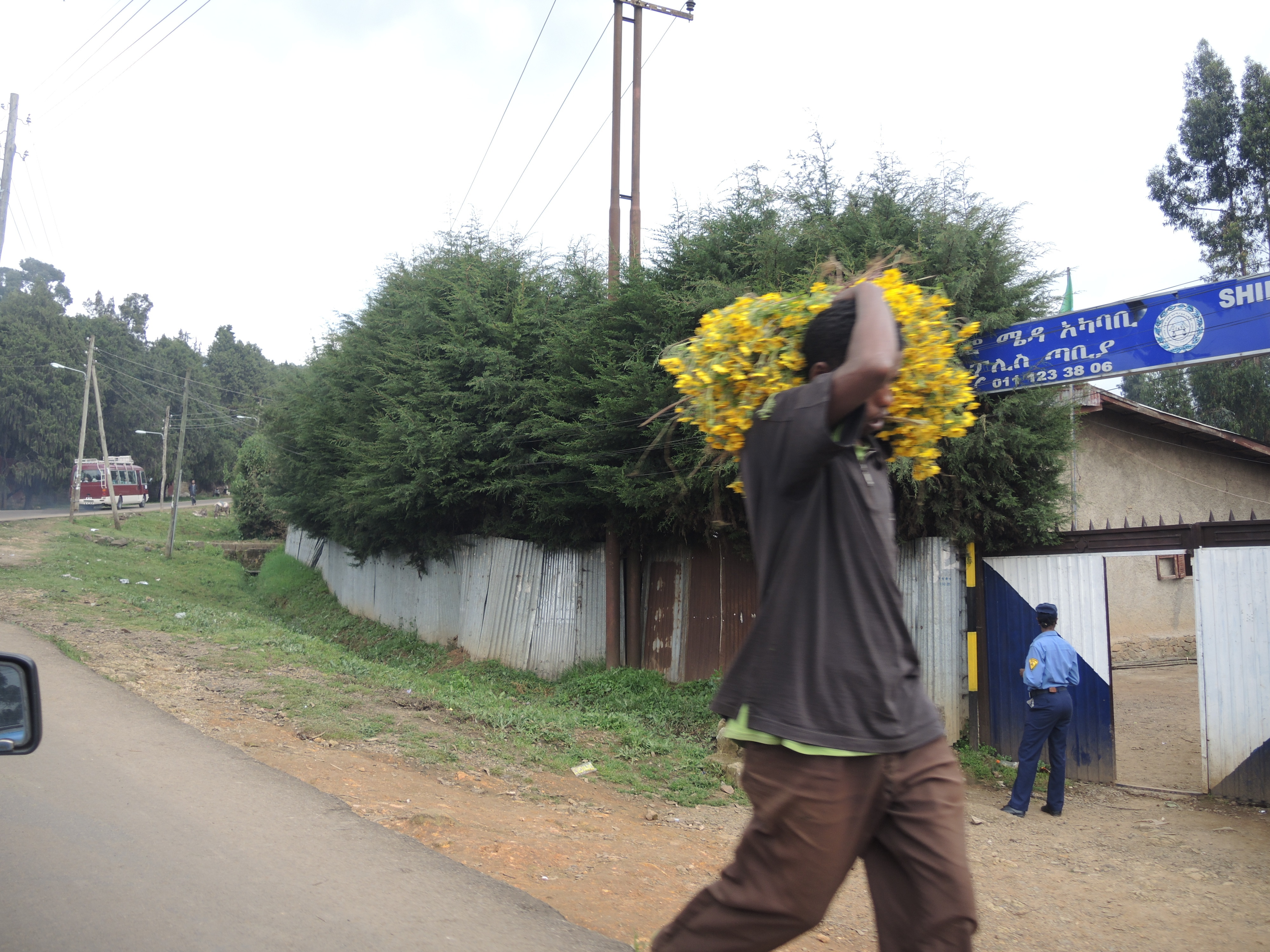 Meskel: Popular Ethiopian feast a time for dancing and celebration ...