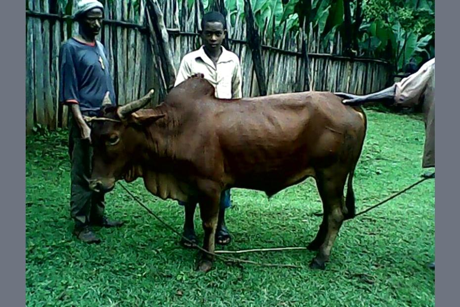 Meskel: Hugely popular Ethiopian feast of finding of the True Cross ...