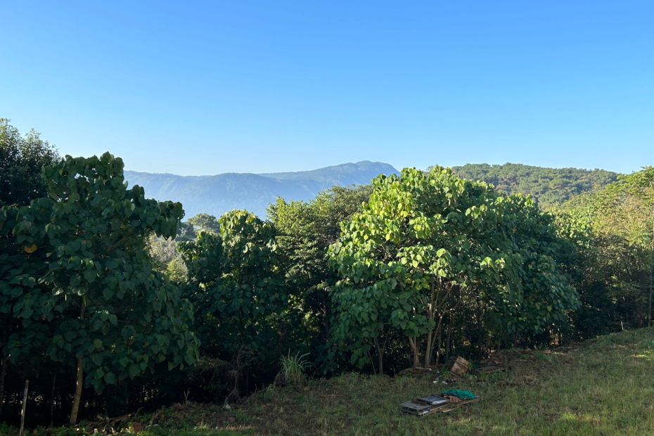 Northeast India: Khasi and Pnar (Jaintia) Catholics of Meghalaya ...