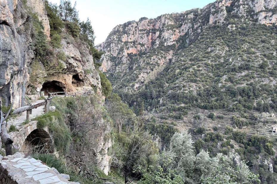 Introduction: Maronite Catholics retain close political majority in ...